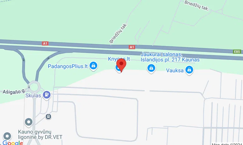 Islandijos pl. 217, Kaunas Kaune - kaveikti.lt