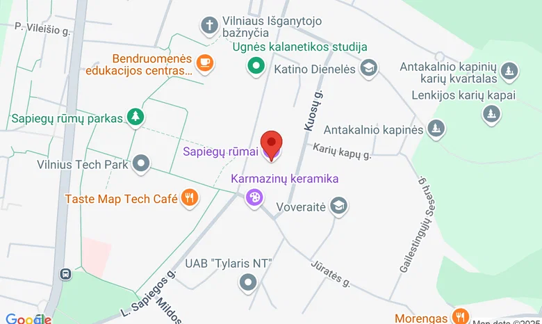 Sapiegų rūmai Vilniuje - kaveikti.lt