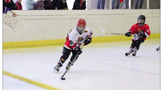 Kauno ledo arena - kaveikti.lt